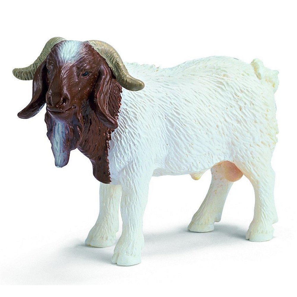 Schleich 13258 Boer Billy Goat Farm Life Figurine Replica – Toy Dreamer