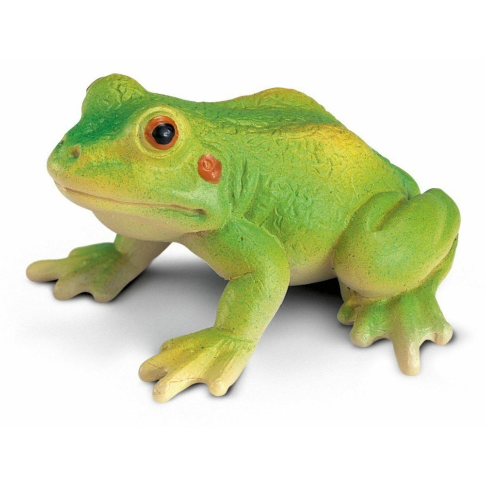 Schleich 14407 Frog retired wild life – Toy Dreamer